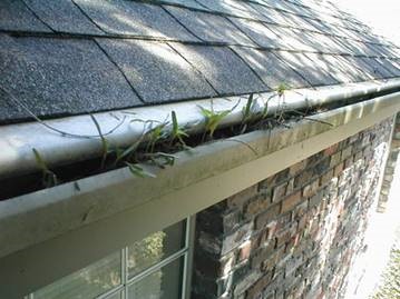 Premium Hooded Products, LeafLock Gutter System Boerne TX | Leaflockusa